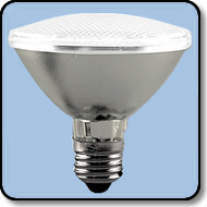 PAR 30 LED Bulb Flood Light Replacement